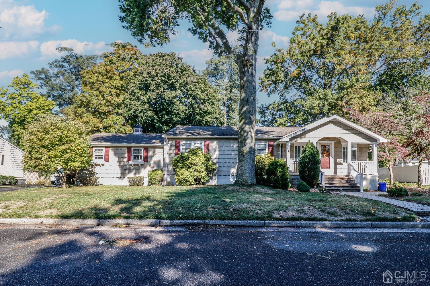 Preventing Roof Damage from Overhanging Trees | Practical Guide